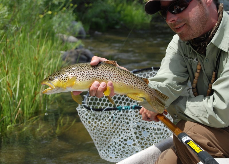 Hoot-Owl Restrictions In Place on the Madison River - WildscapeOutfitters